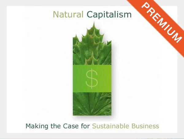 Natural Capitalism: Making the Case for Sustainable Business